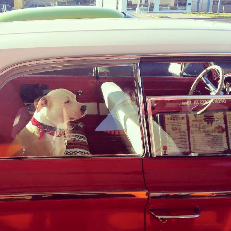 Top Notch Hamburgers | Iconic Austin Burgers Since 1971